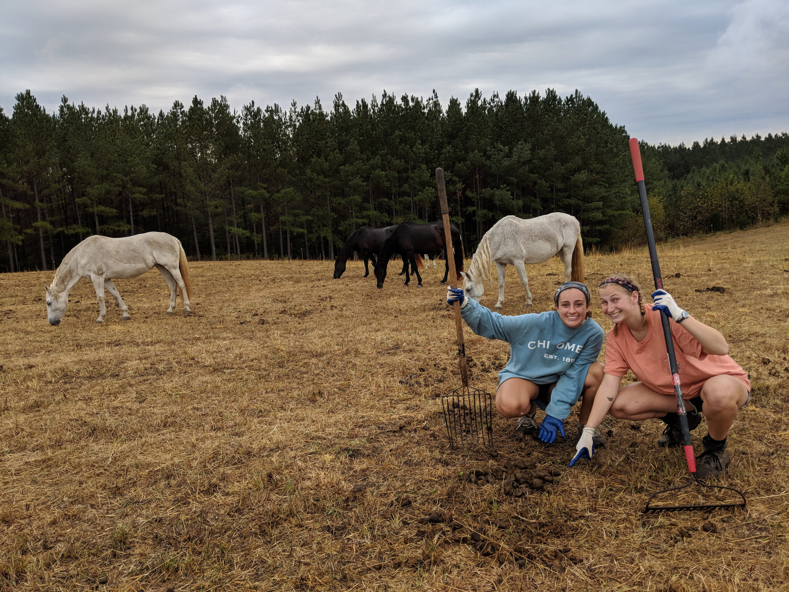 Fall Service Experiences | Alternative Service Experience | Appalachian ...